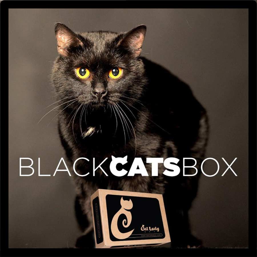 Cat Lady Box – Monthly Subscription Box for Cat Lovers & Their Cats ...