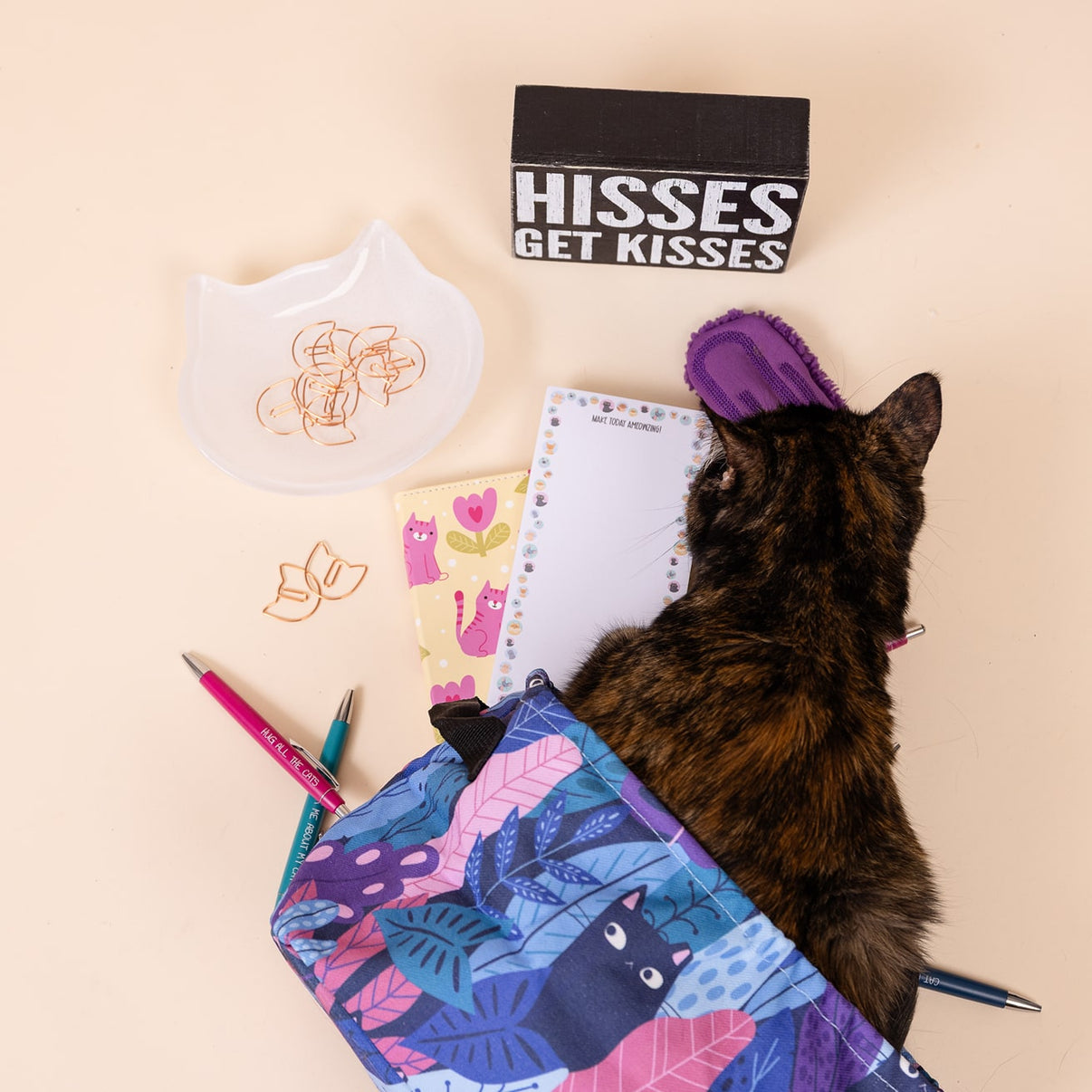 Cat Lady Box – Monthly Subscription Box for Cat Lovers & Their Cats ...